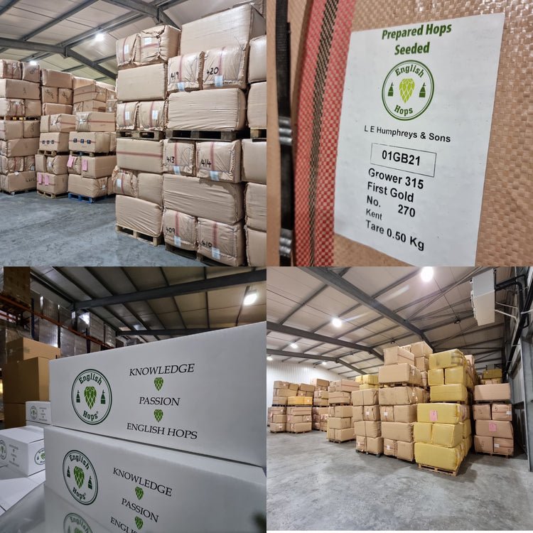 English Hops - High Quality Hop Pellets and Fresh British Hops
